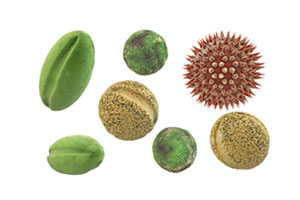Airborne - Advanced Allergy Therapeutics